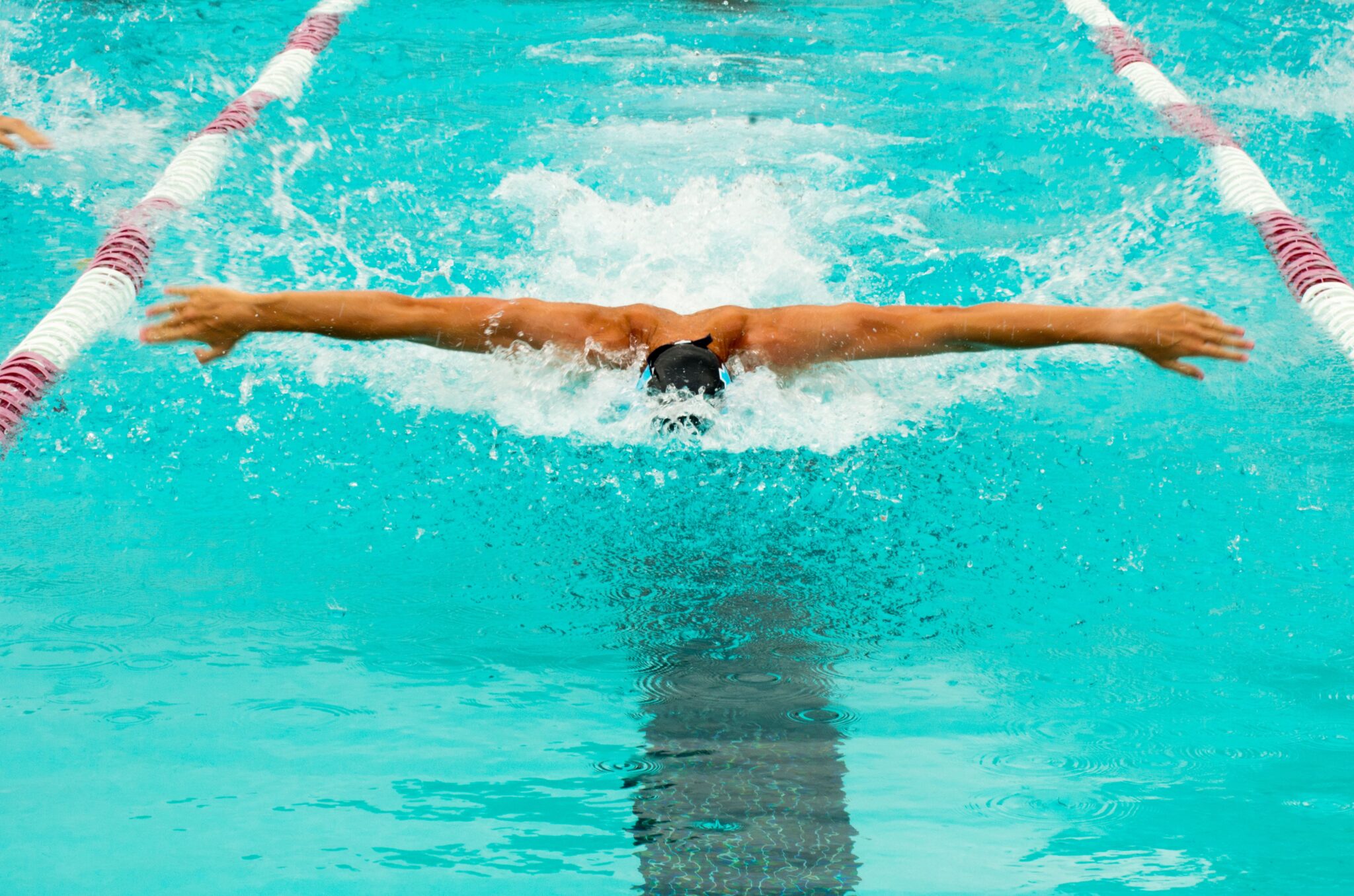 Spotlight: Amy Wang – NCBarBlog